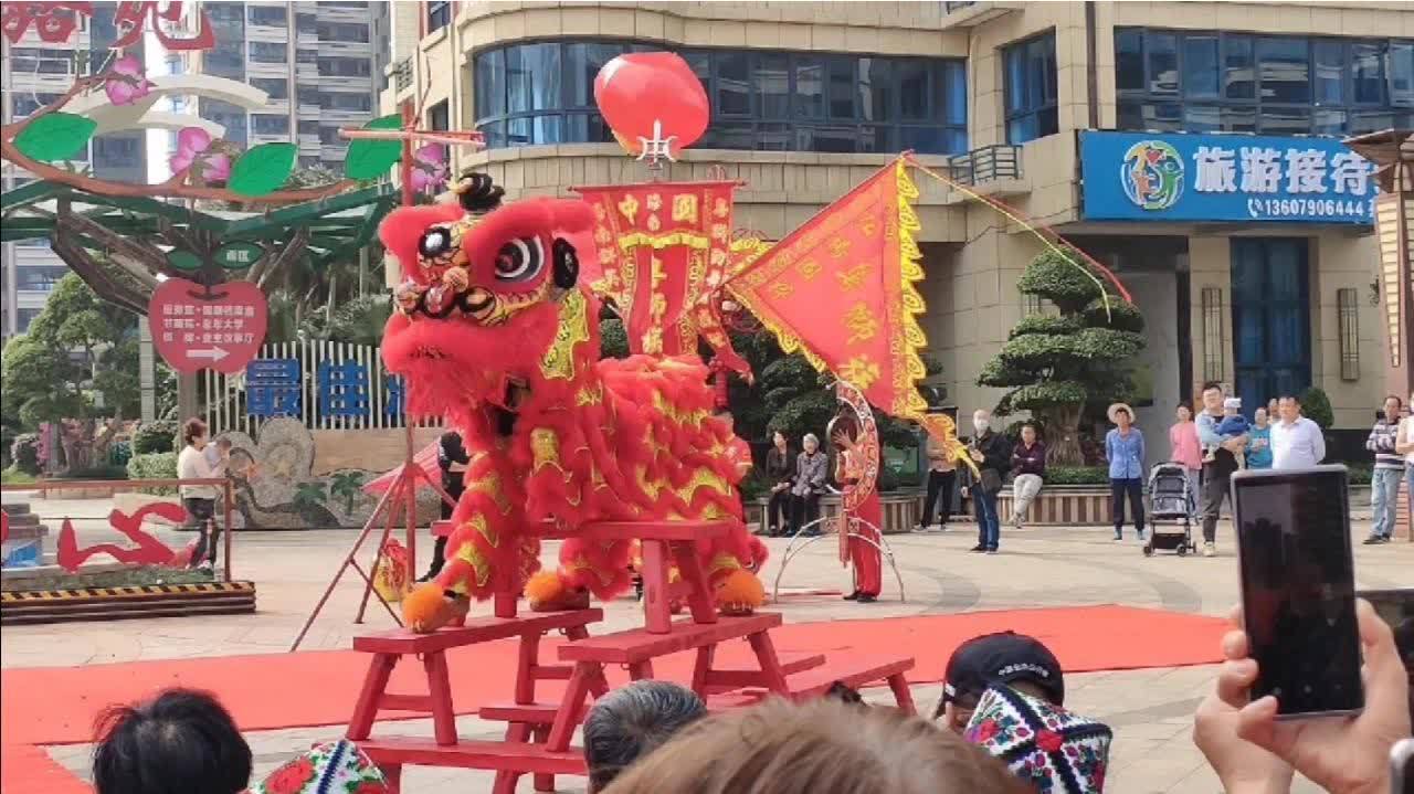 元旦欣赏专业舞狮队的精彩表演