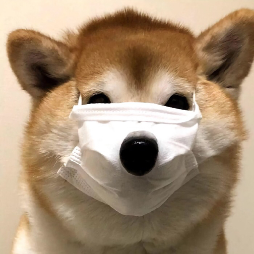 monster_fiv 