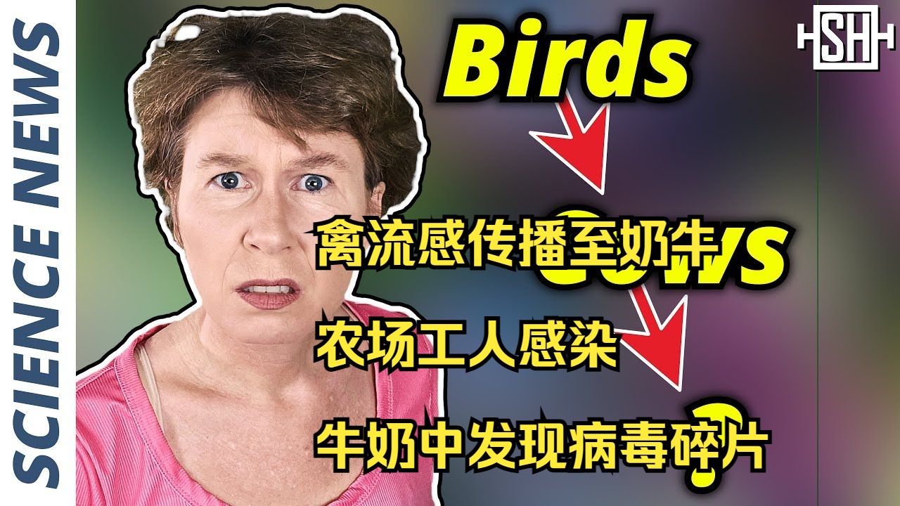 禽流感传播至奶牛,农场工人感染,牛奶中发现病毒碎片【每日科学新闻...