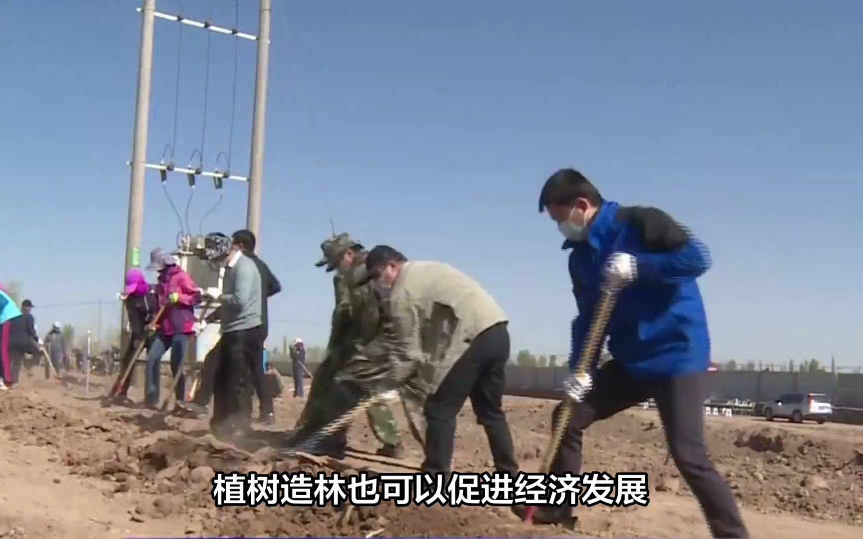 植树造林,如何改变中国?