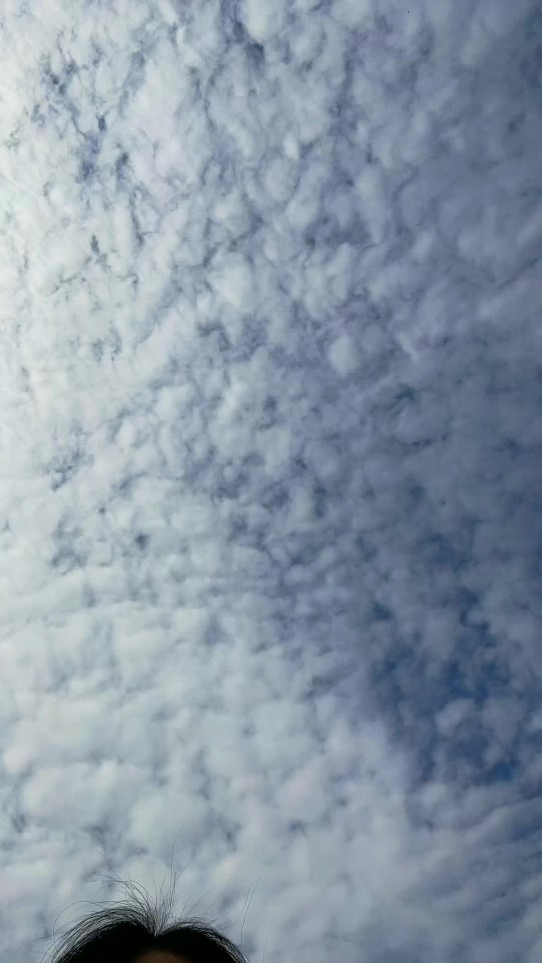 再大的事 到了明天就是小事 到了明年就是故事#户外