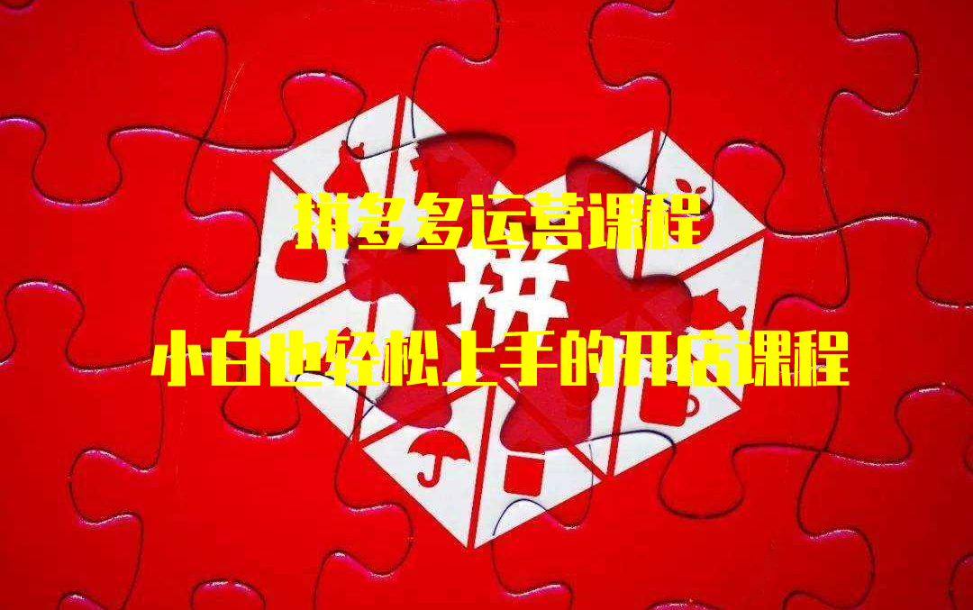 【拼多多运营课程】拼多多开店教程-小白也能学会,有手就行的电商课程