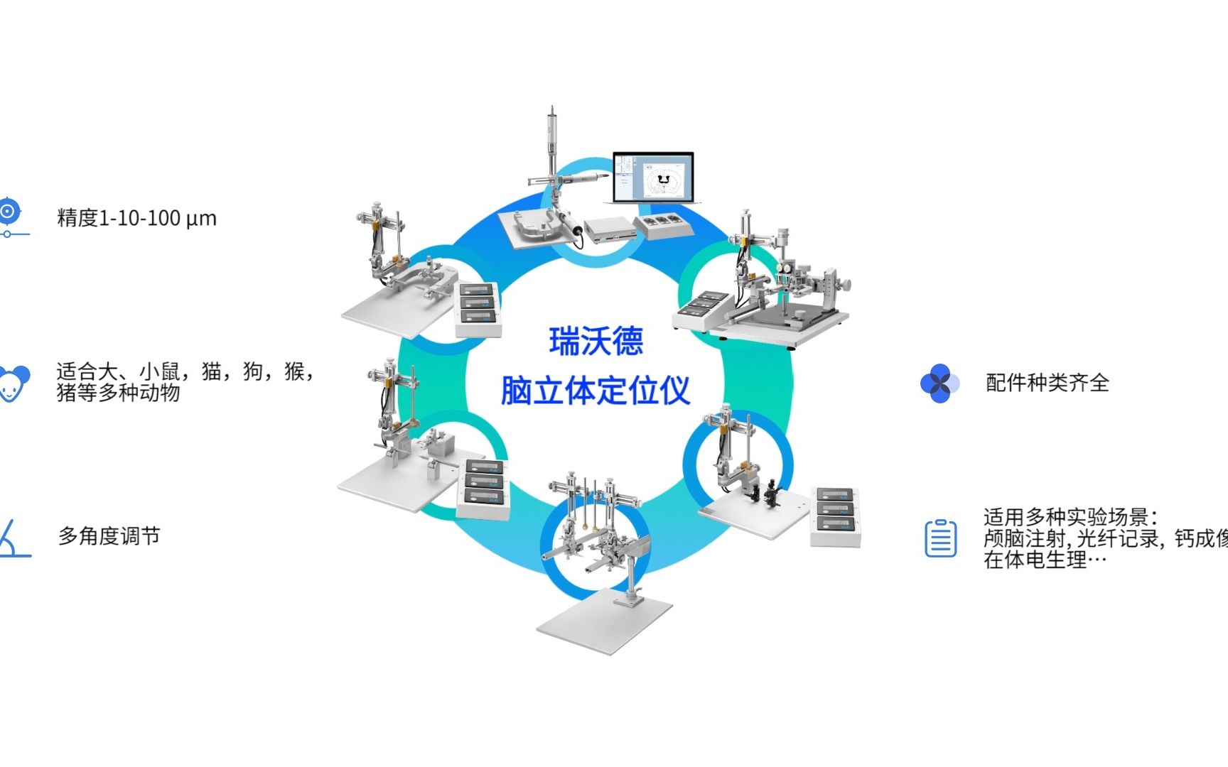 瑞沃德脑立体定位仪 精准定位