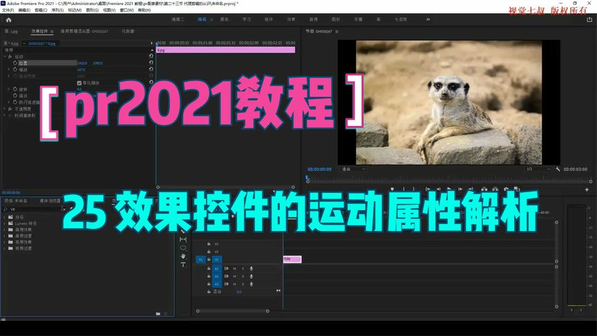 【pr2021全套教程】25 效果控件的运动属性解析