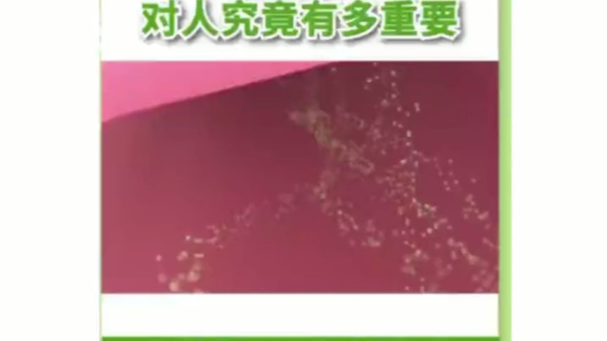 维生素c对身体有多重要