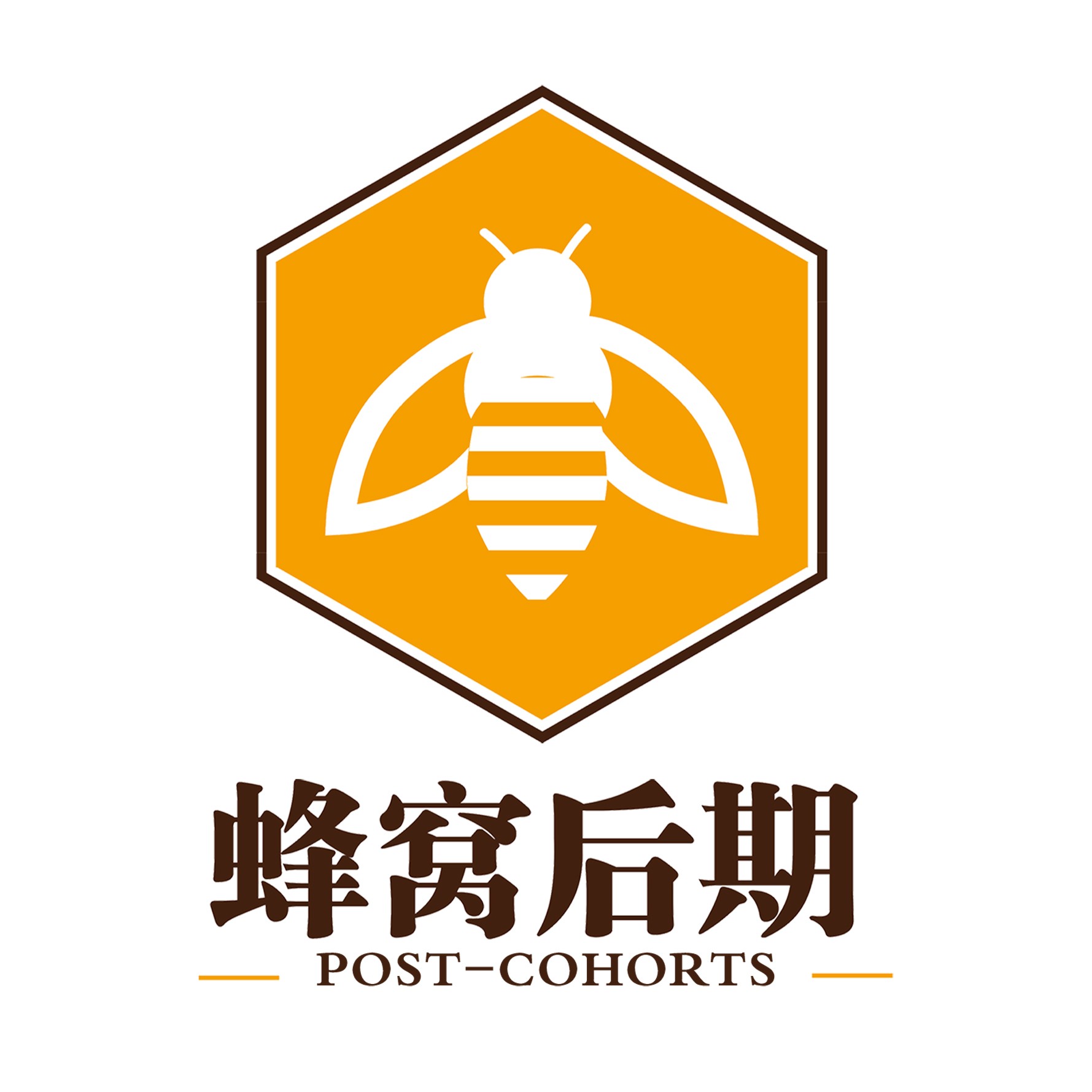 蜂窝后期 