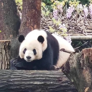 做财税的小刘同学 