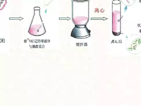汉水丑生 高中生物 必修二 DNA是主要的遗传物质(新课习题课解题技巧)