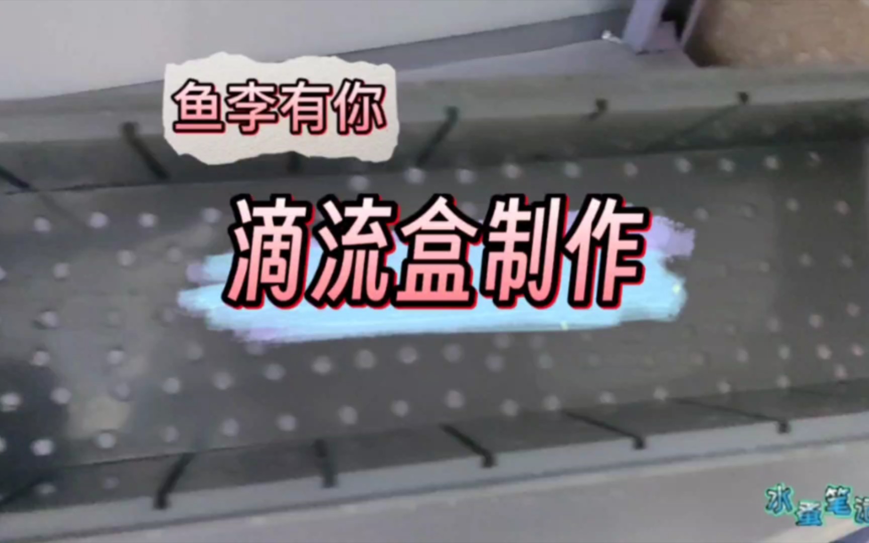 滴流盒制作滴流盒打孔鱼房养鱼魔毯拦截过滤鱼马桶粪便收集金波子
