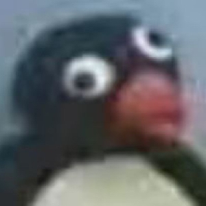 幸好我从来不吃谷 