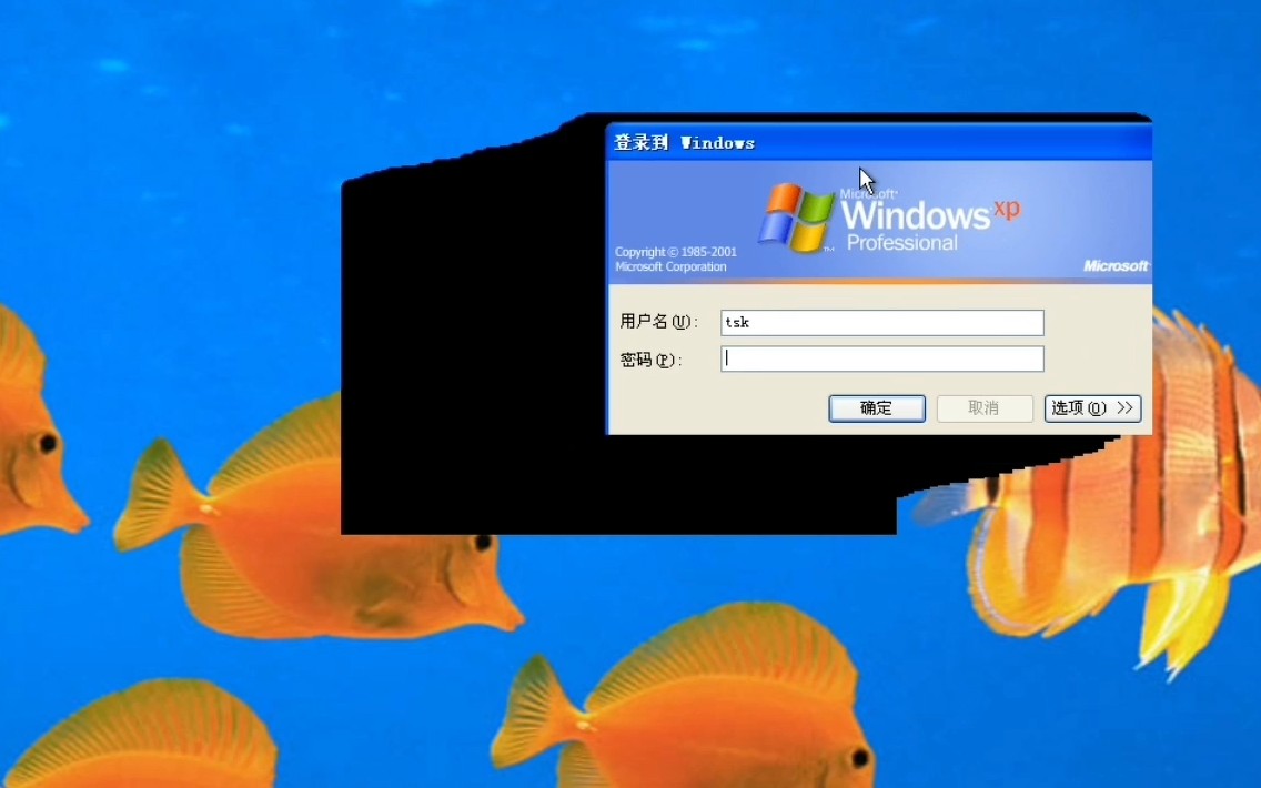 你一定没见过的注销界面,只需要删除winSXS就能做出来