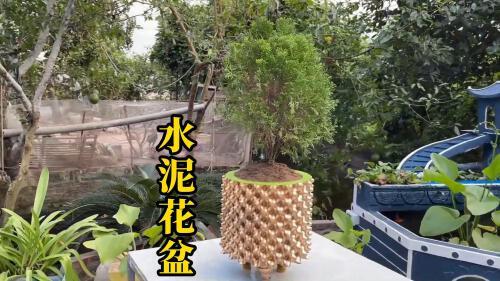 利用景观树围栏当模具,制作一个结构耐用的水泥花盆