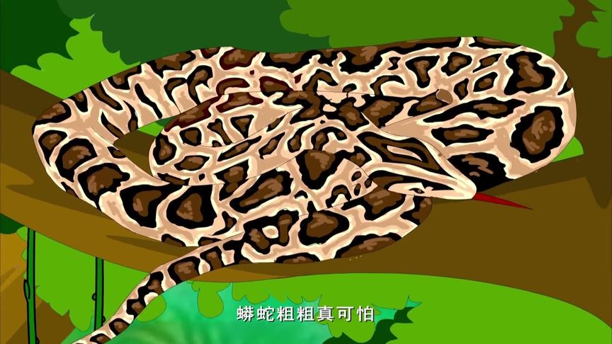 英文小天才78-爬行动物类