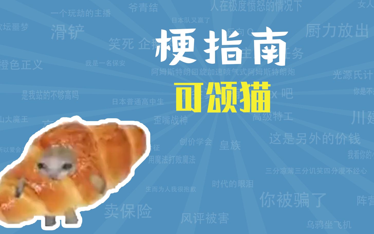 可颂猫是什么梗【梗指南】