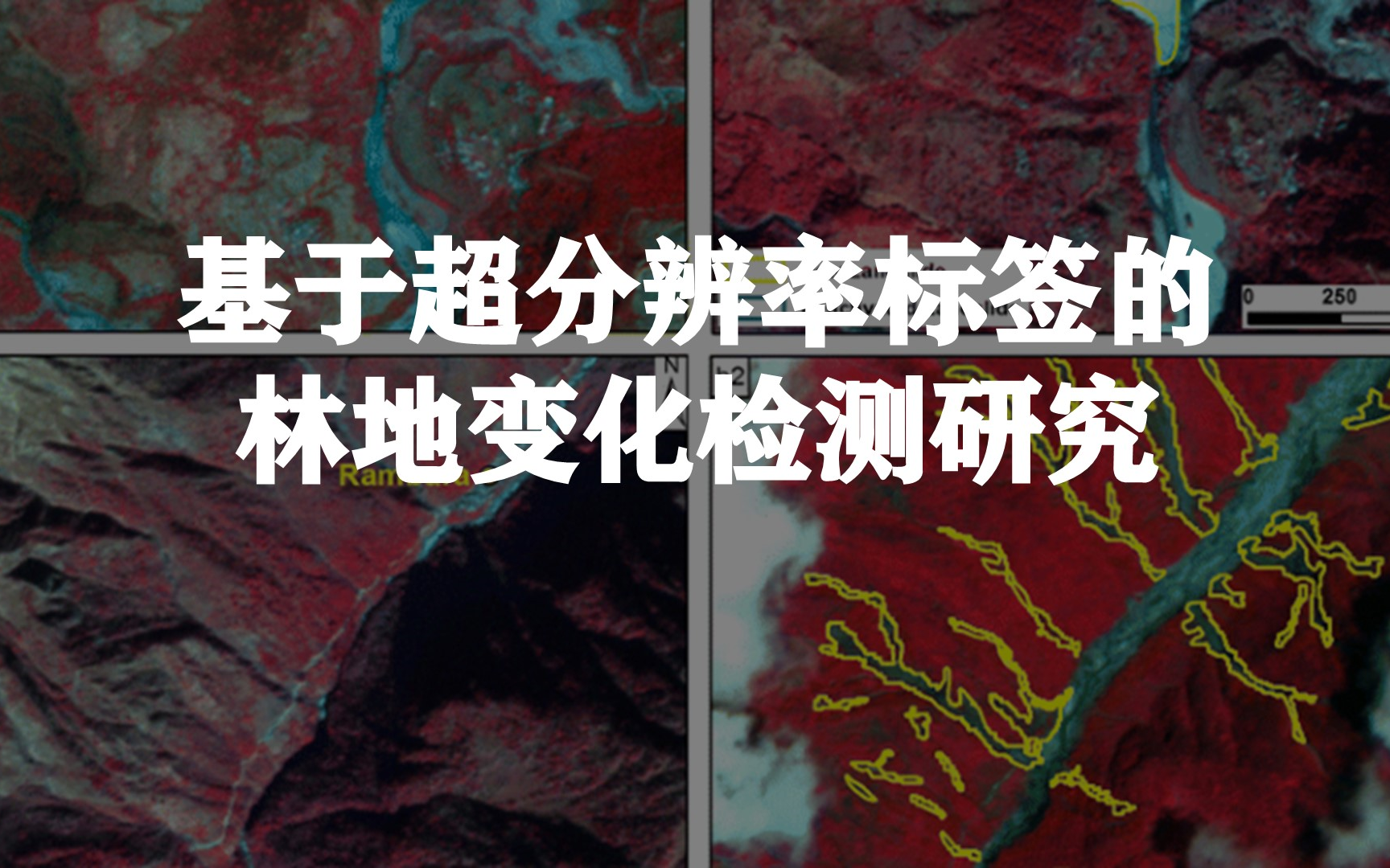 【大数据与数据分析】基于超分辨率标签的林地变化检测研究