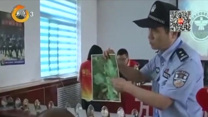 太原郝庄派出所联合多部门,开展禁毒宣传,营造安全社会环境