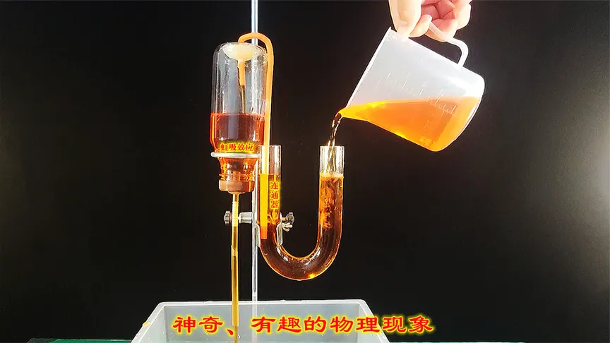 好神奇!把水倒进U形管,水竟然往高处流了!什么物理原理?