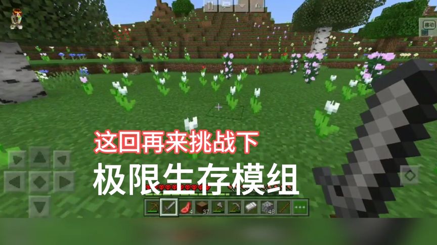 我的世界极限生存:这次挑战下极限生存模组,后来还是被苦力怕…