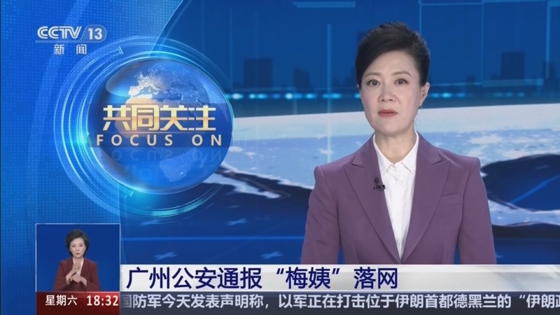 [共同关注]广州公安通报"梅姨"落网
