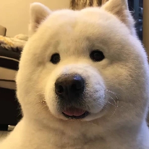 悦度星辰 