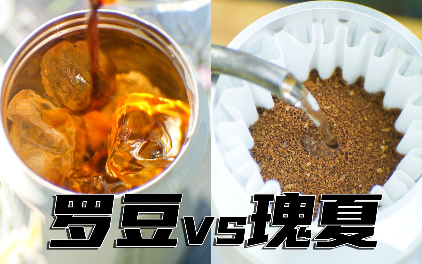 最贵罗豆VS竞标瑰夏,品一品咖啡里的“卧龙凤雏”!