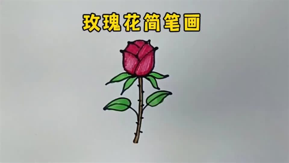 简单的玫瑰花简笔画来了,简单易学又好看,快来试试吧简笔画