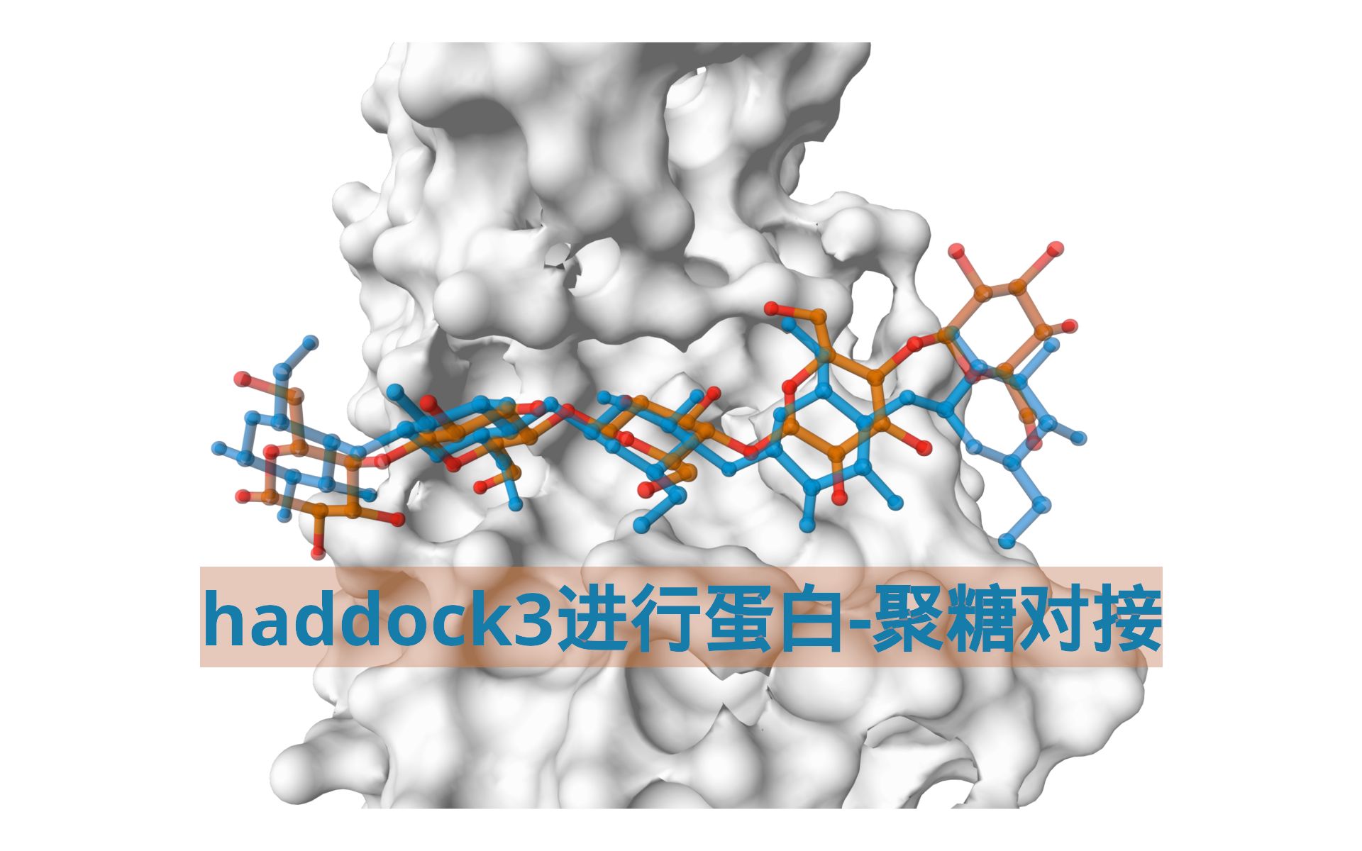 haddock3进行蛋白-聚糖对接01背景介绍+实验方法