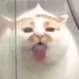 Kzh的粉丝 