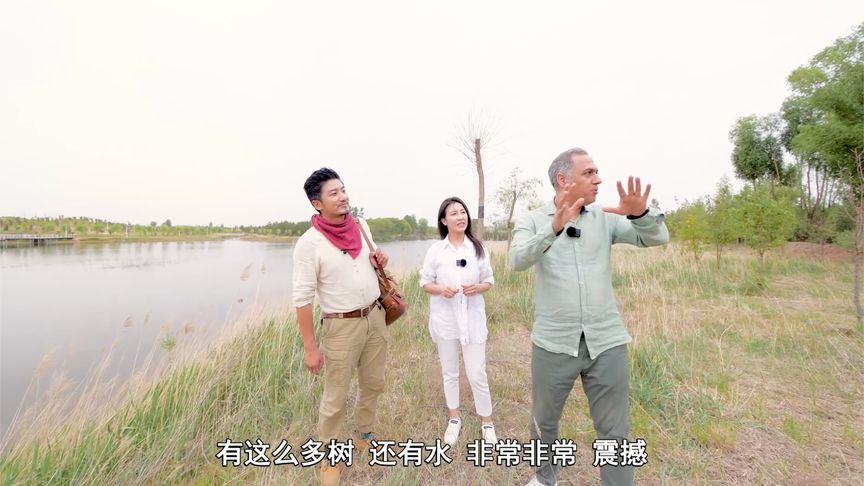 承包45万亩沙地造林?毛乌素沙地变森林,一起参观的老外羡慕坏了