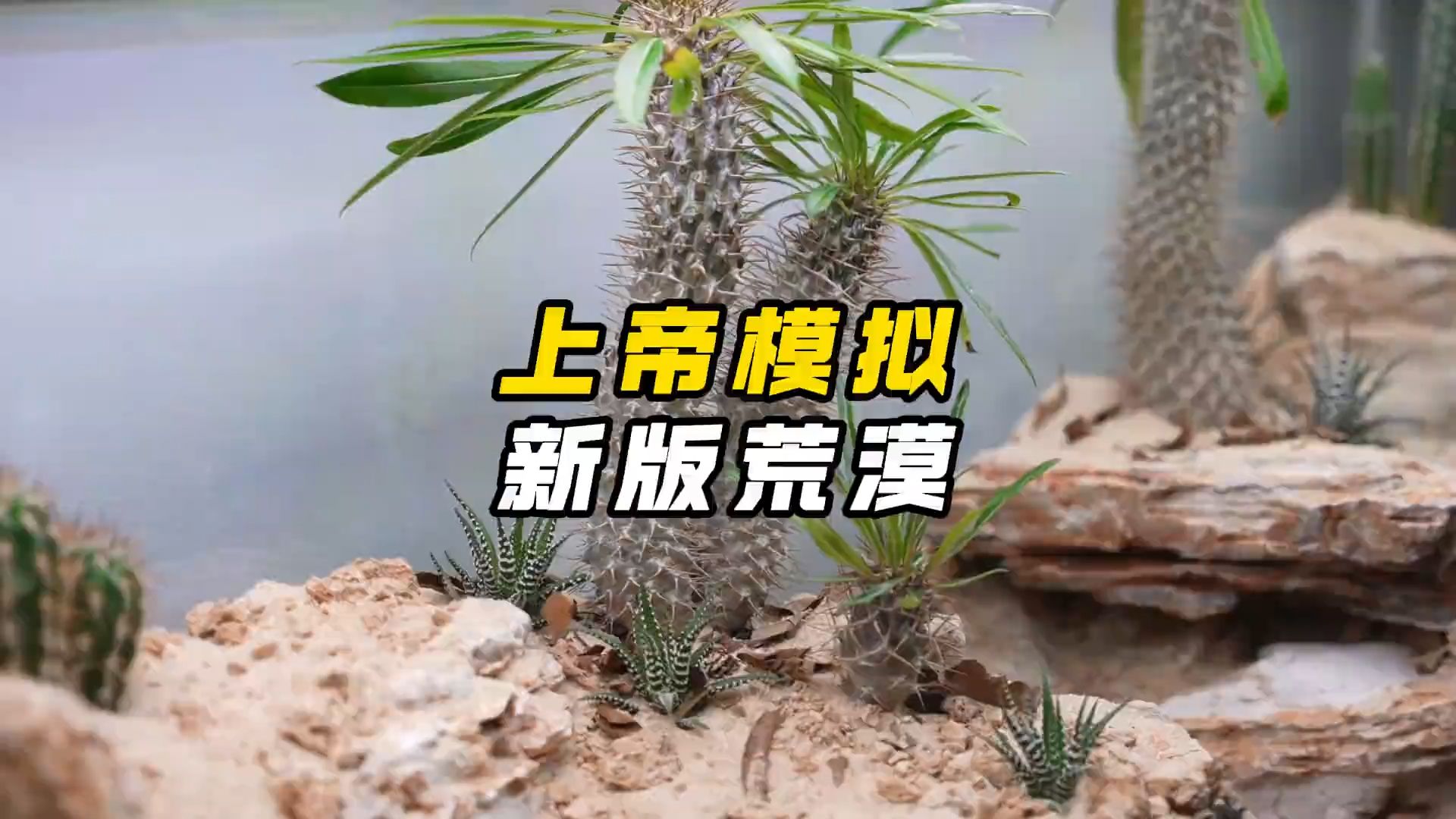 全新上帝模拟器:非洲荒漠100天的生态演变之旅