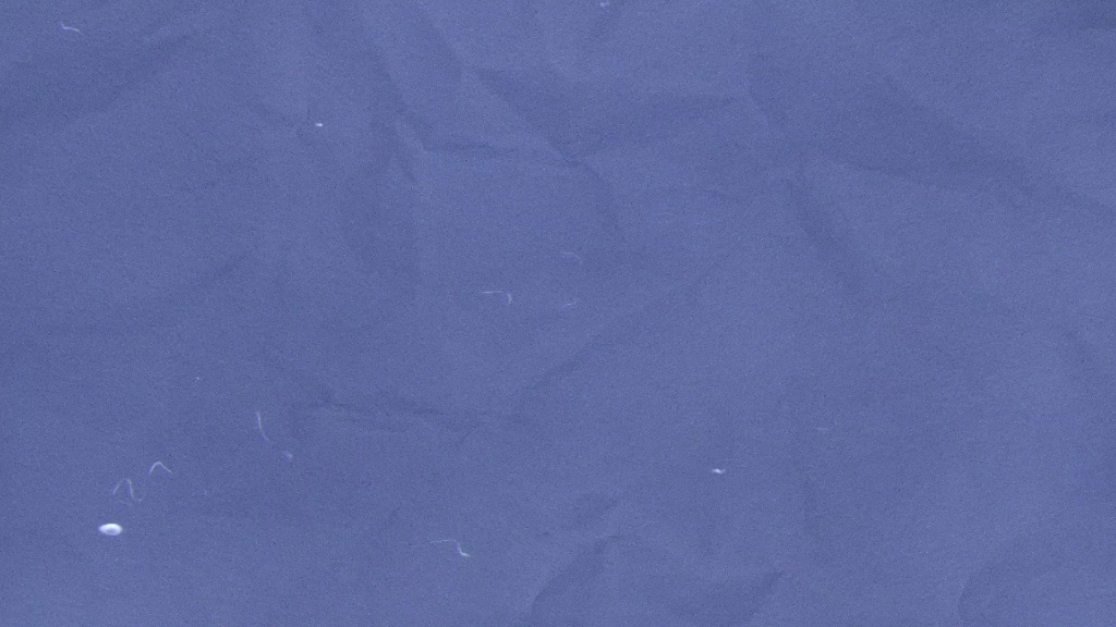 审计__业务签约对单位审计目的的了解