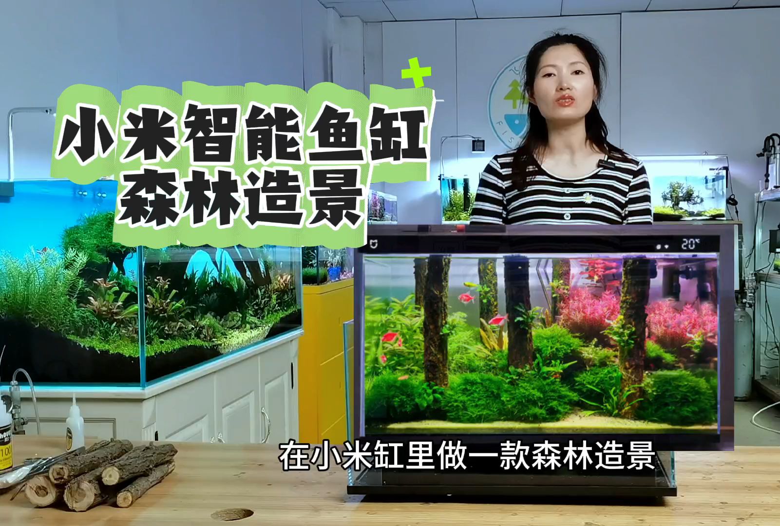 小米智能鱼缸森林造景流程
