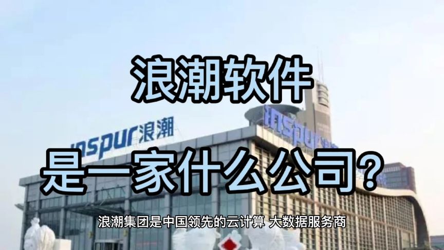 浪潮软件是一家什么公司?