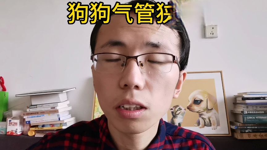 兽医陈满福讲述狗狗气管狭窄方面的知识～