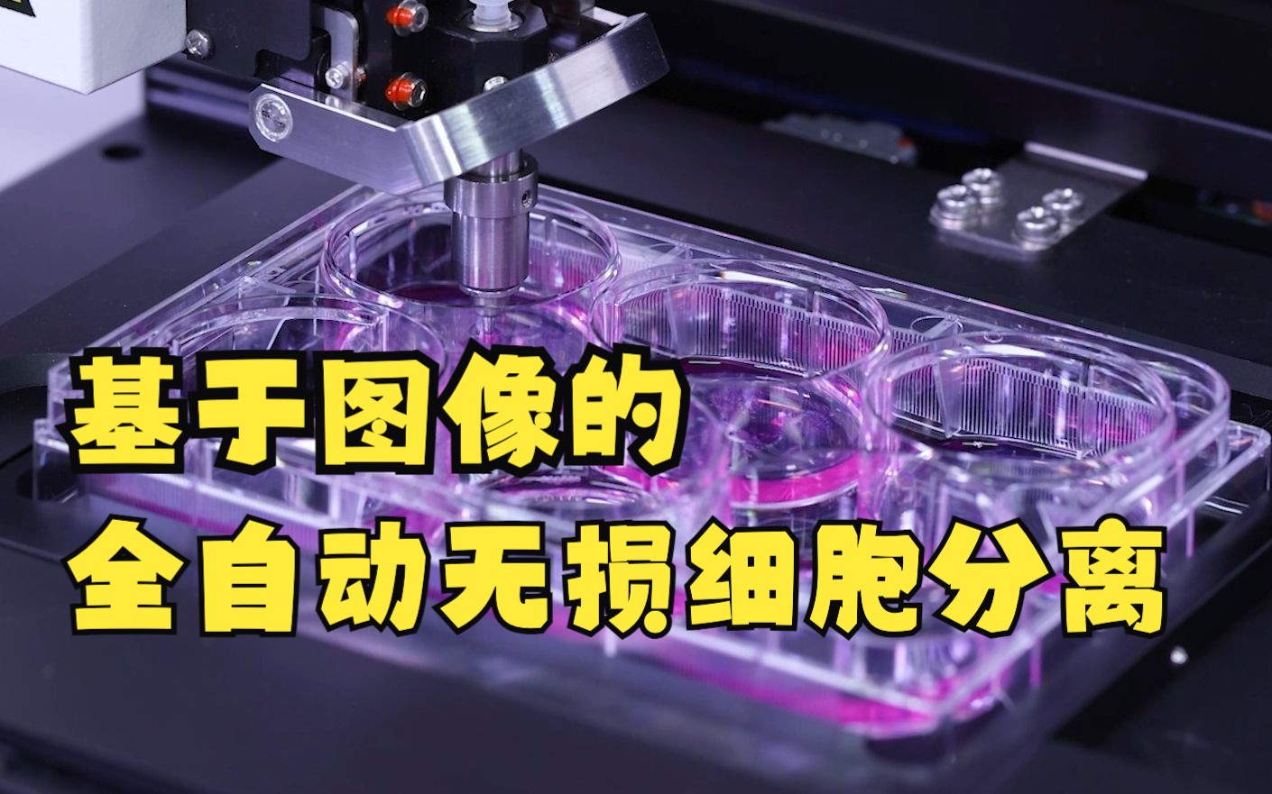 ...Flex全自动无损细胞分离系统让细胞筛选分离实验变得游刃有余!