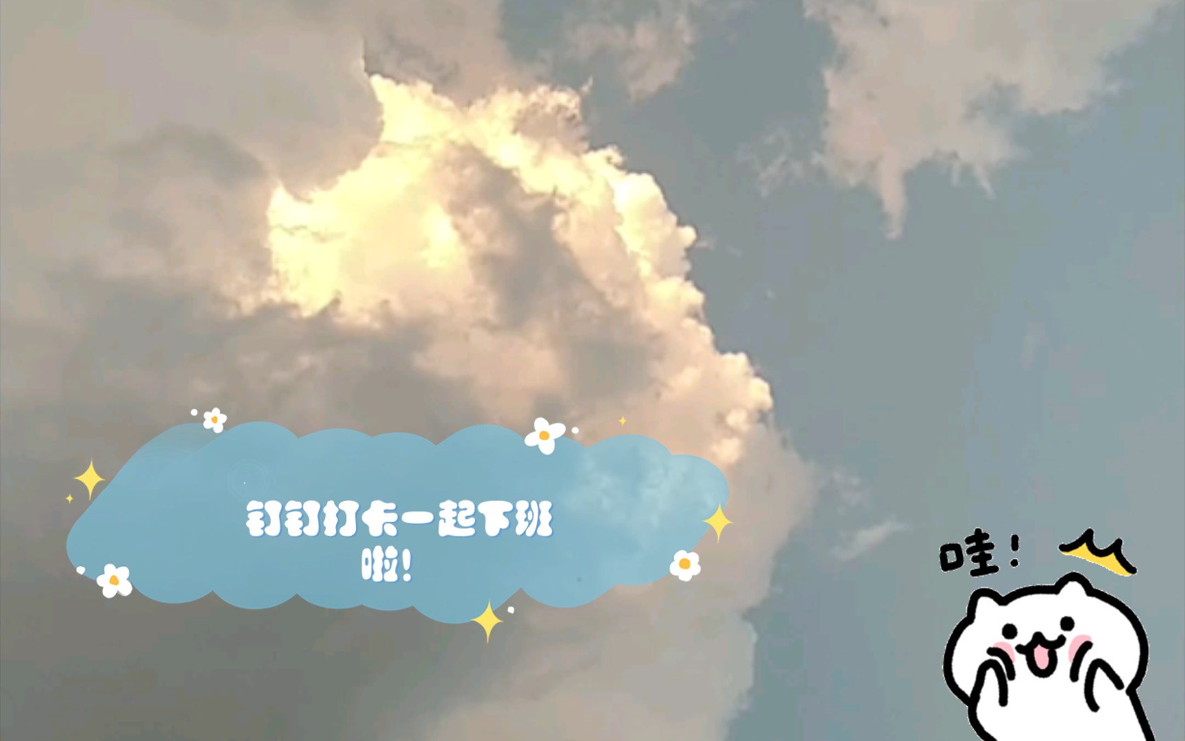 两坨棉花糖!钉钉打卡一起下班啦!