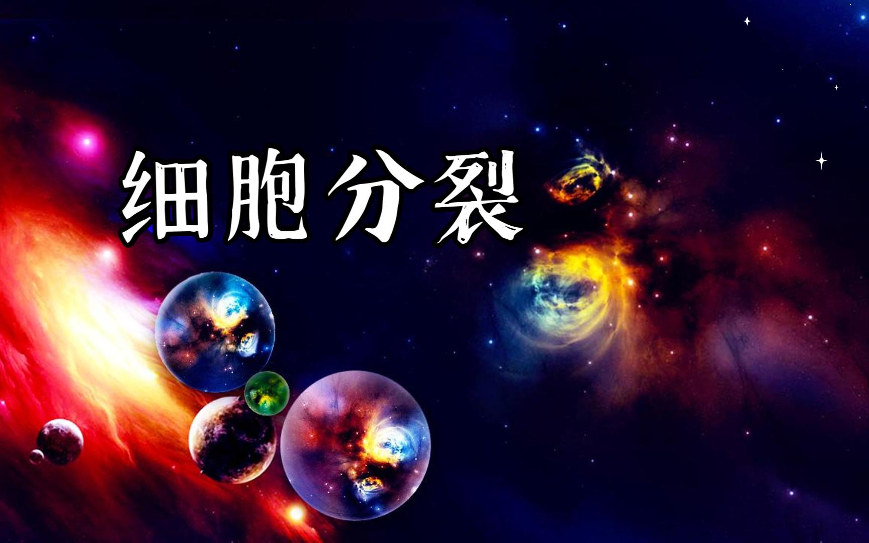 通过动画快速了解细胞分裂过程