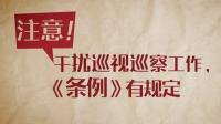注意!干扰巡视巡察工作,《条例》有规定