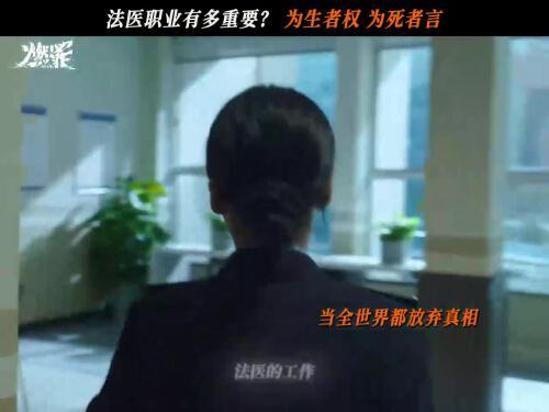 法医实录:誓死捍卫真相,为生者讨公道,让亡魂得安宁!