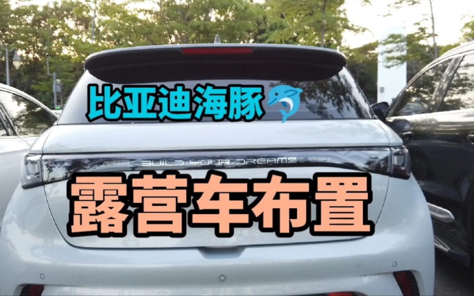 比亚迪海豚,露营车布置体验