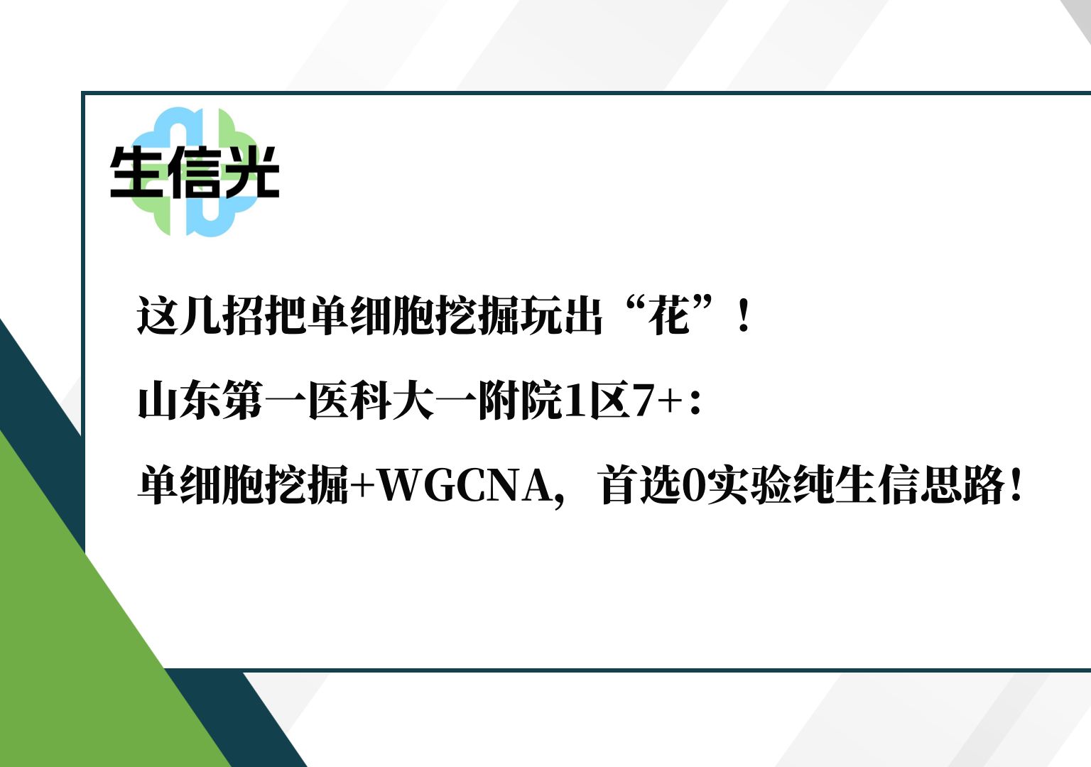 这几招把单细胞挖掘玩出“花”!山东第一医科大一附院1区7+:单细胞...