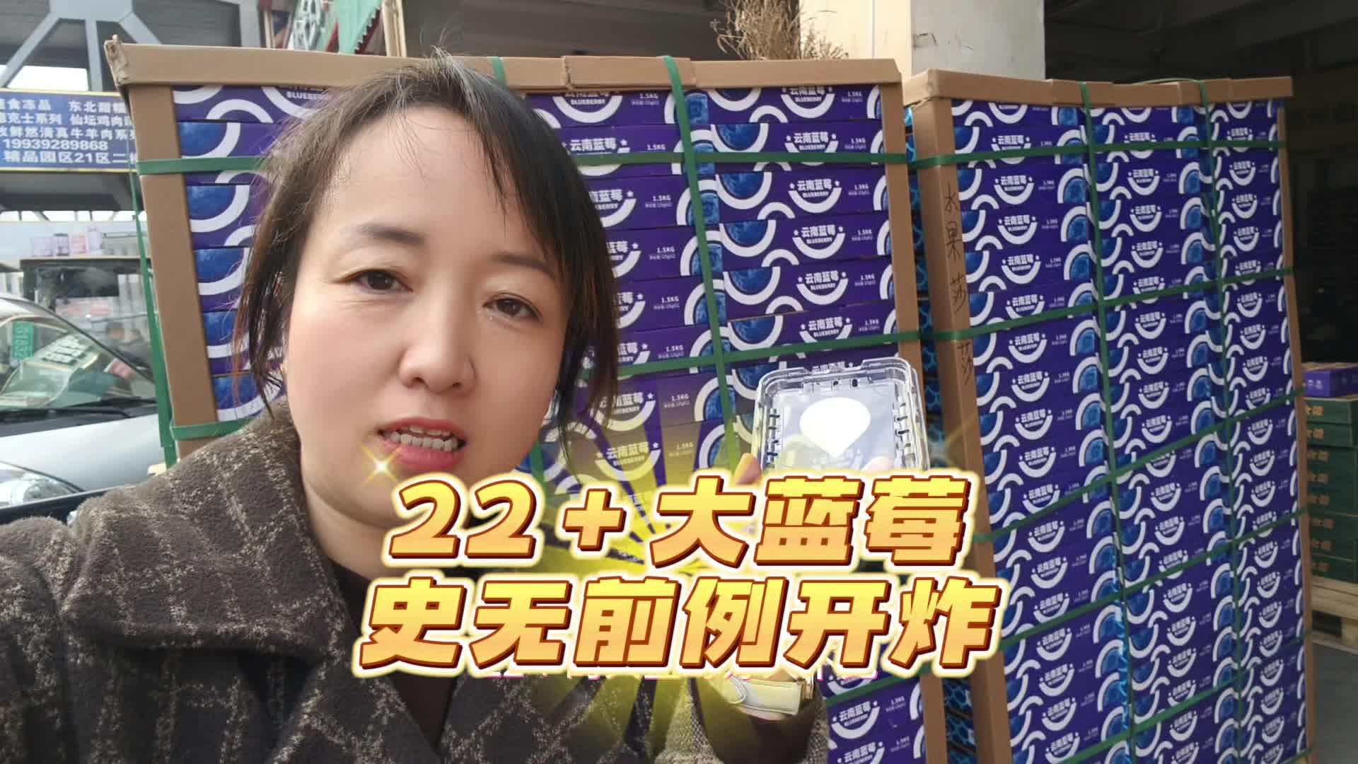 超大蓝莓来啦 小身材,大营养,纯天然花粉,口感脆甜,满满的花青素,富含...