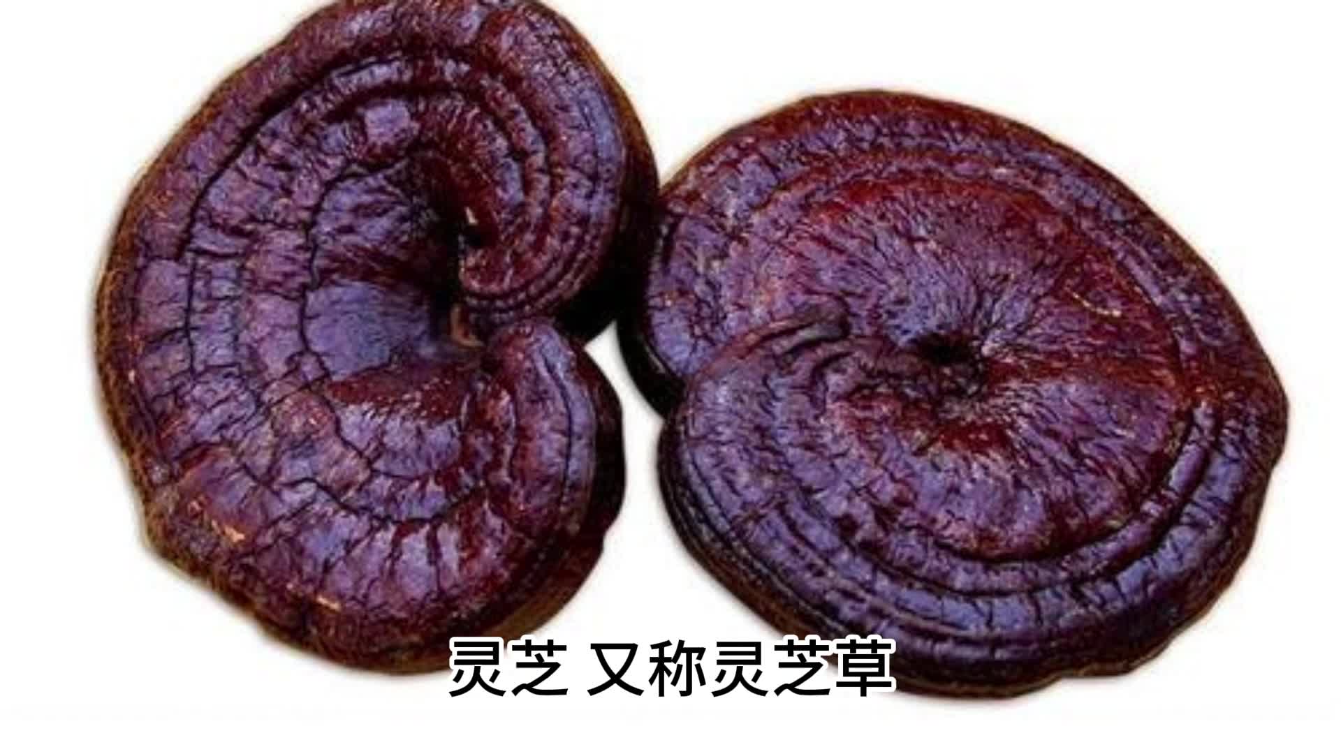 灵芝孢子的功效与作用及吃法禁忌,灵芝孢子的好处与注意事项