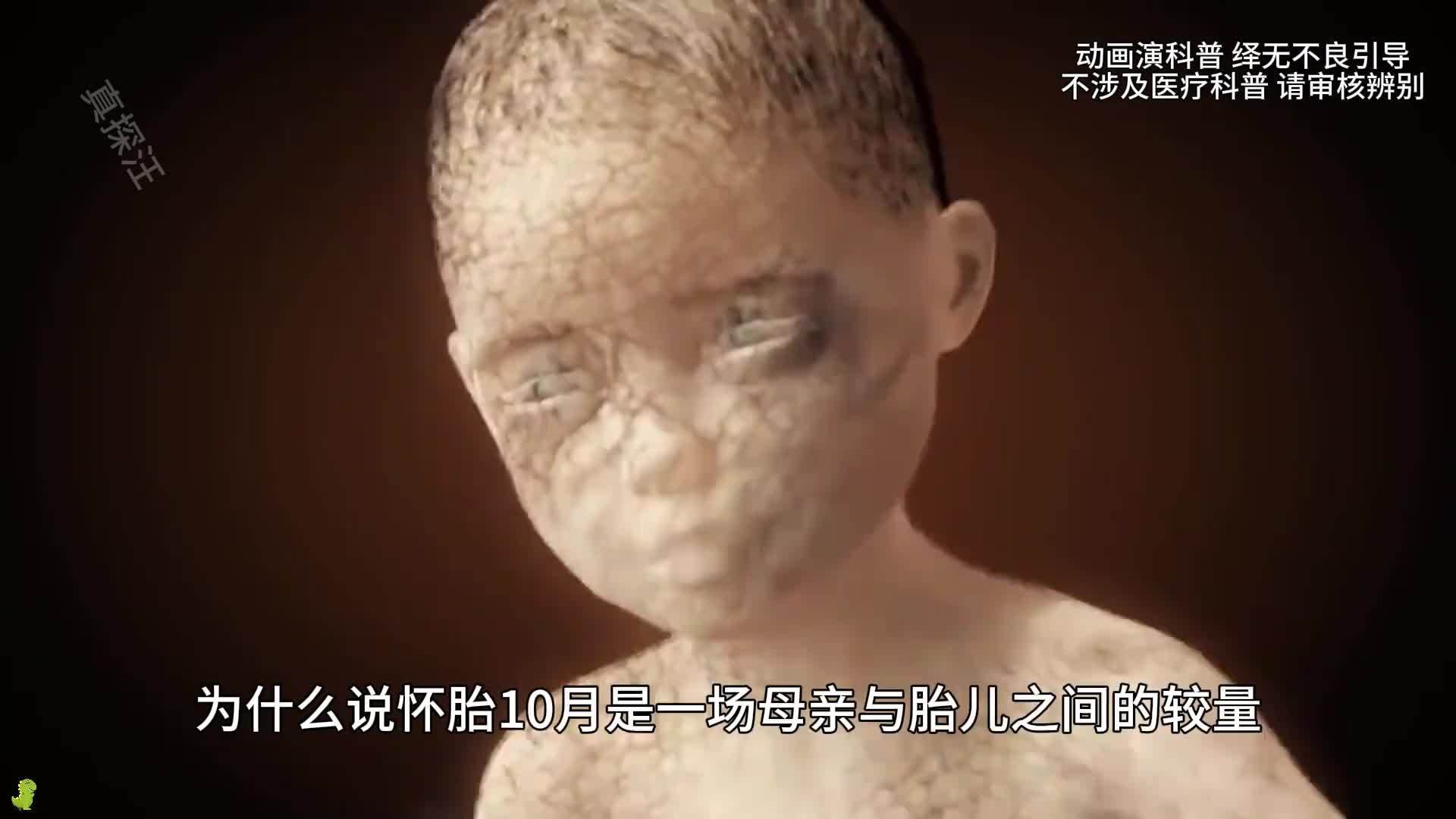 怀孕的过程隐藏着什么样的秘密? 科普一下 冷知识 胎