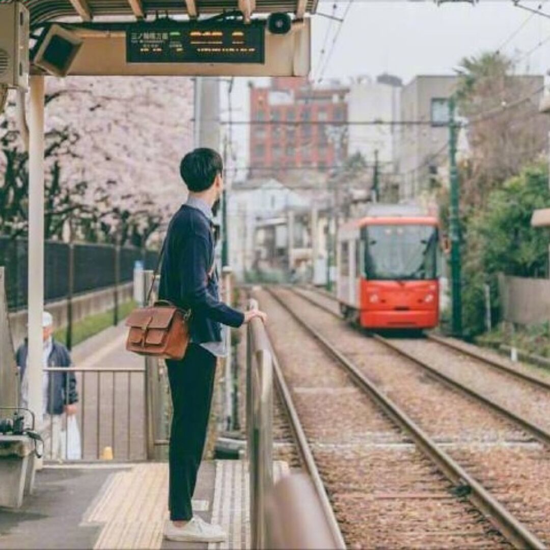想去日本看Sakura 