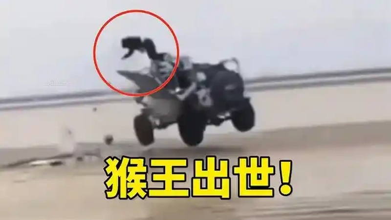 不作死,就不会死!