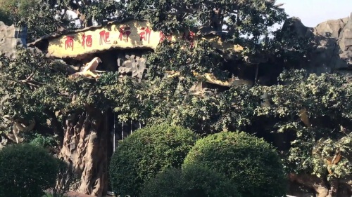 秦岭野生动物园:两栖爬行动物馆里有许多蟒蛇,近距离看蟒蛇吃鸡