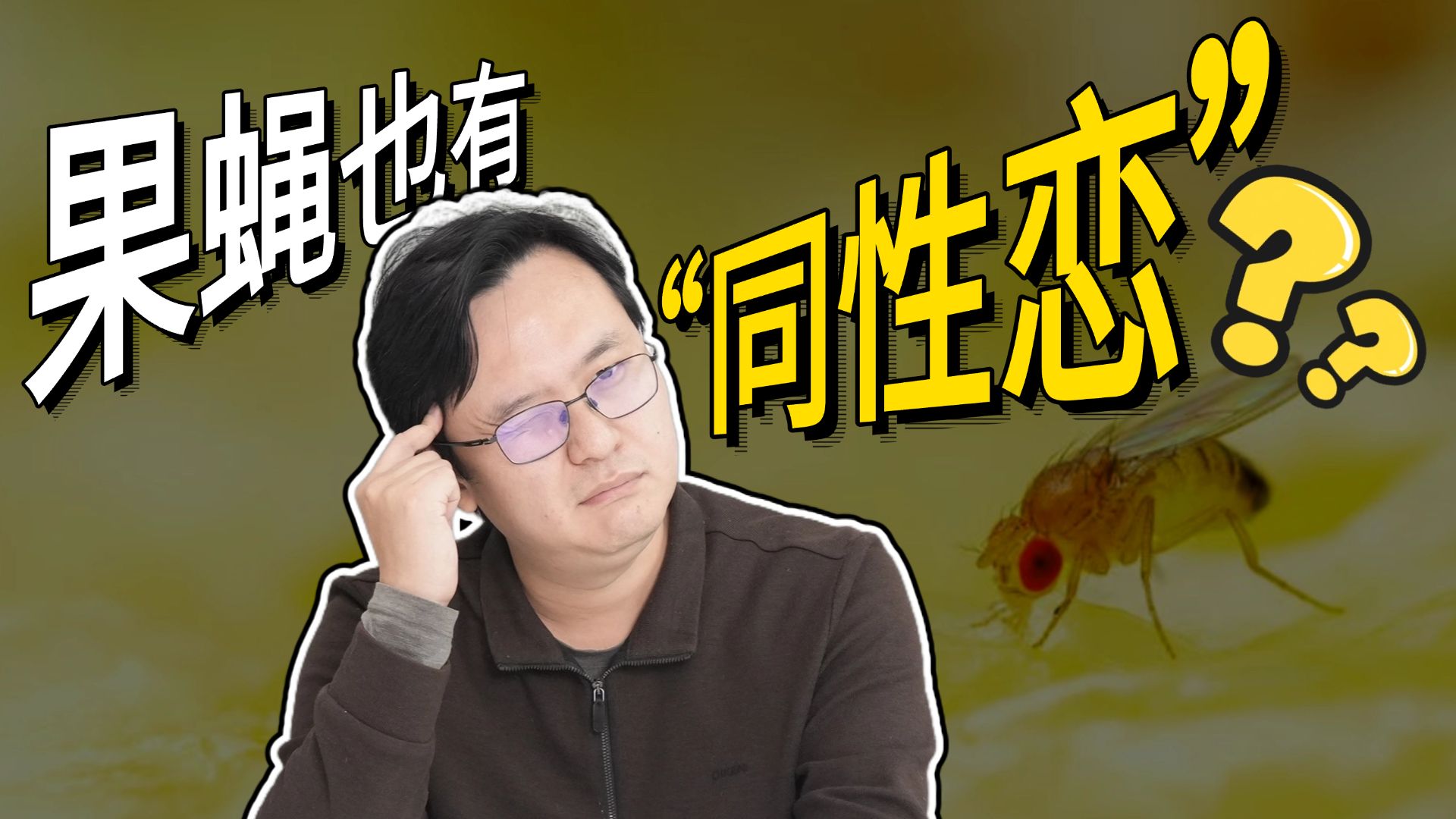 果蝇“集体出柜”?当科学家开始在果蝇身上搞抽象.