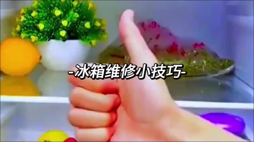 冰箱故障别怕!超实用修理秘籍大公开