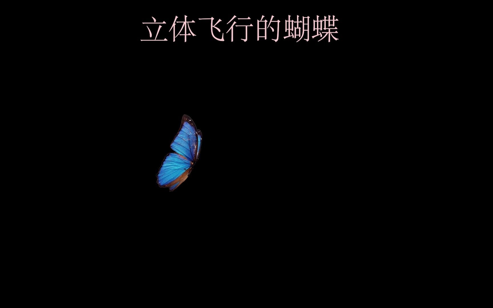 蝴蝶飞舞【AE效果教程】使用表达式,让平面蝴蝶变成立体蝴蝶,飞舞